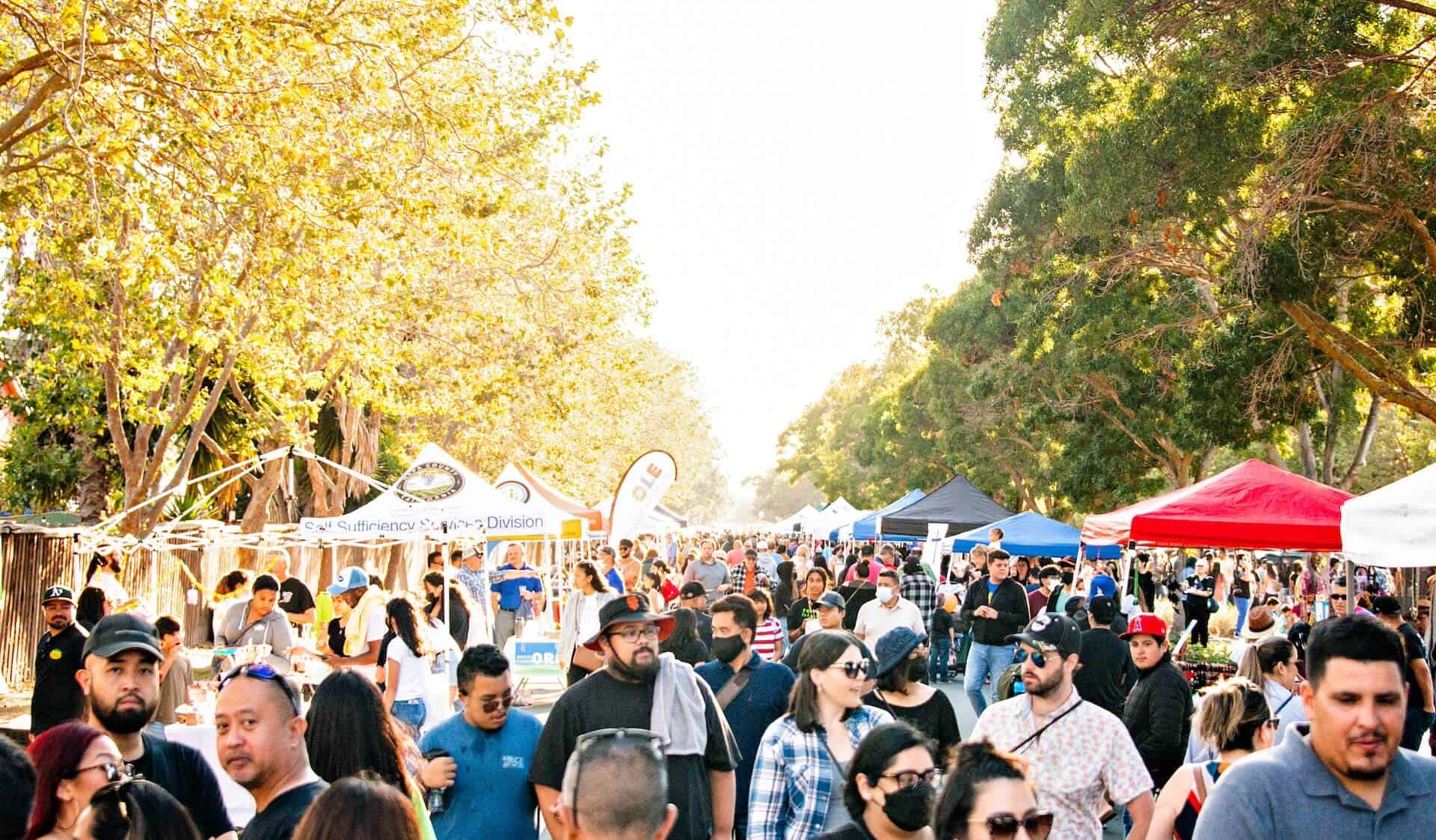 Shuttles stay up late for summer events in Calistoga, St. Helena and ...